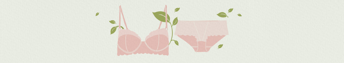 Product Love | Bendon Lingerie